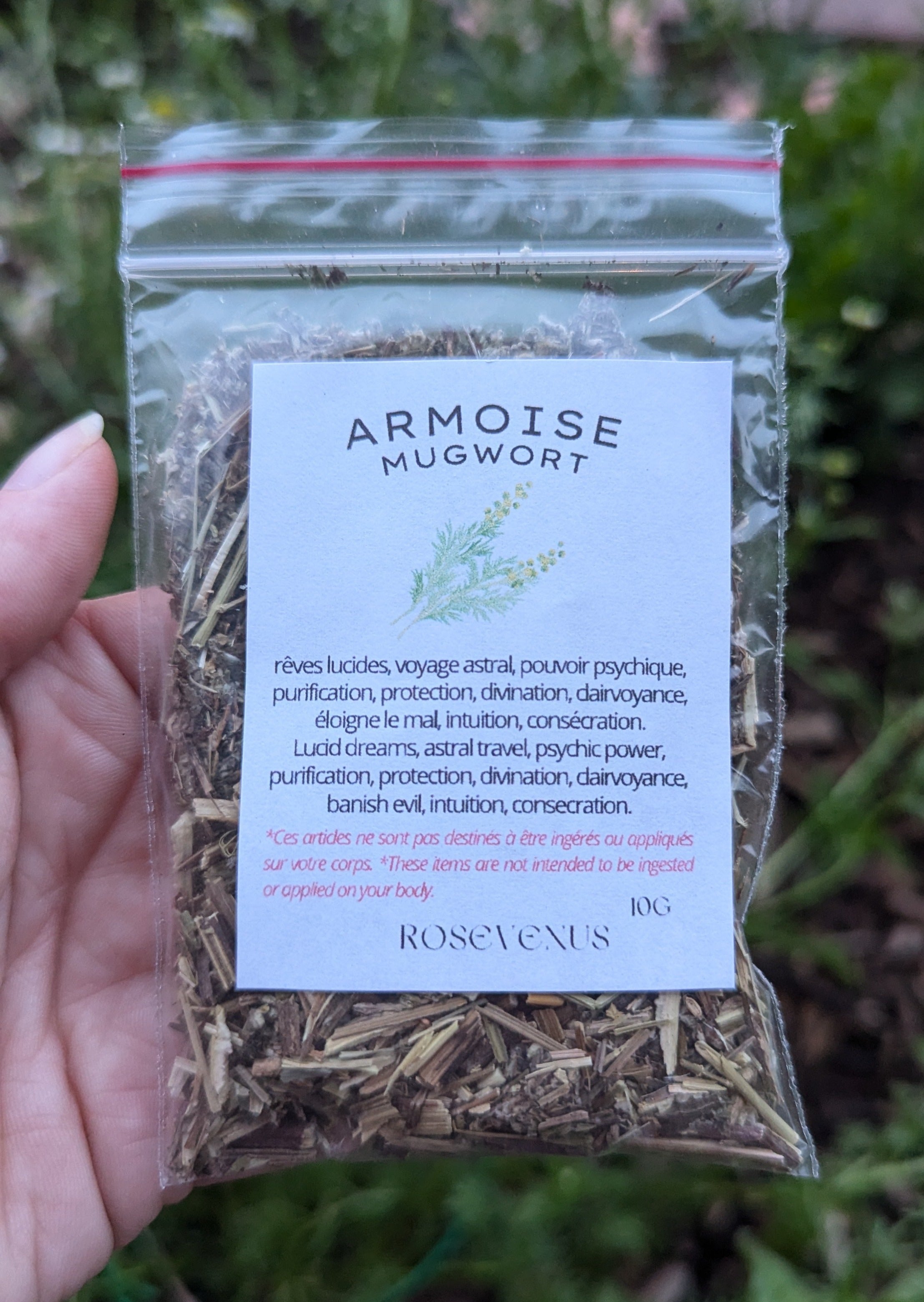 Armoise (mugwort) – Rosevenus