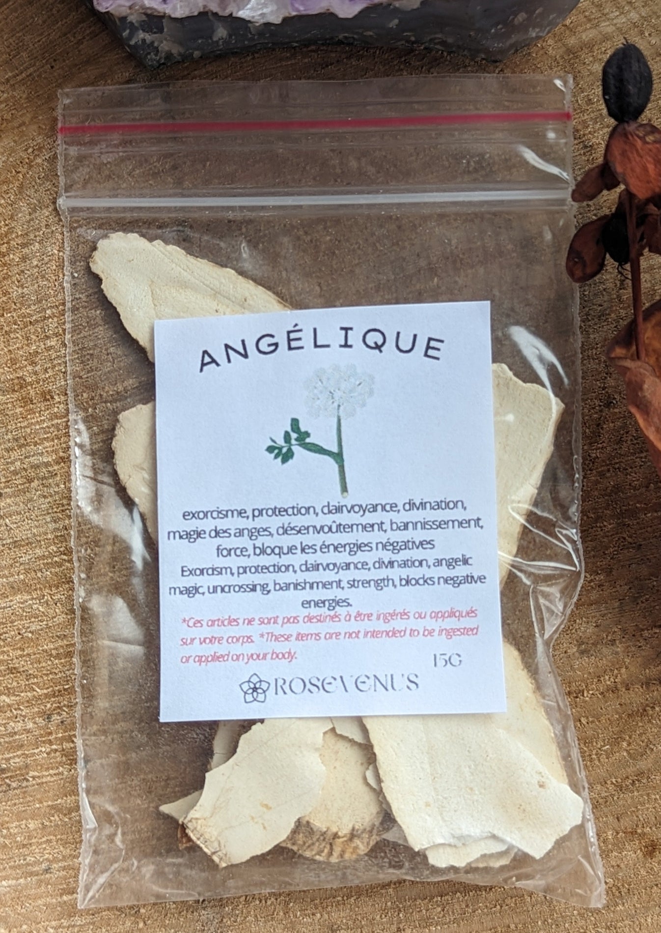 Angélique (angelica) – Rosevenus